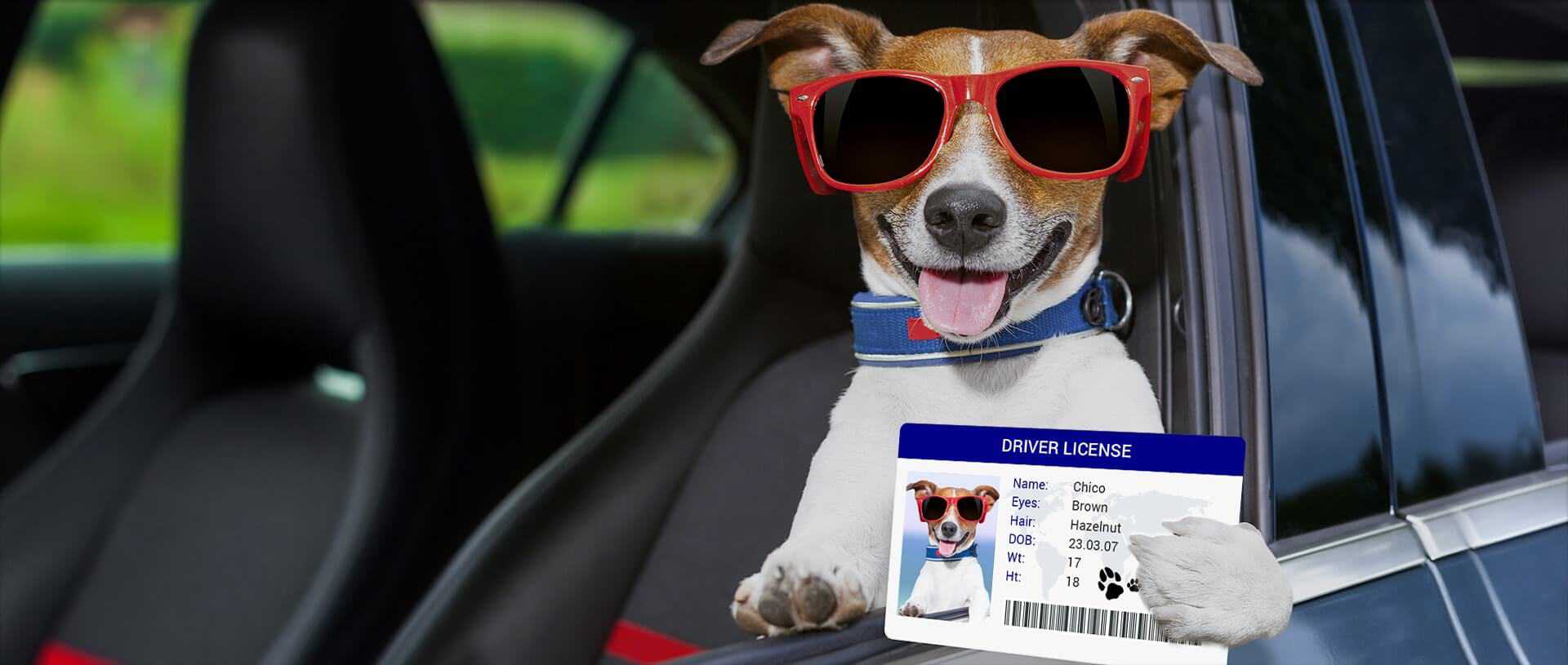 Home - Azizi Driving School